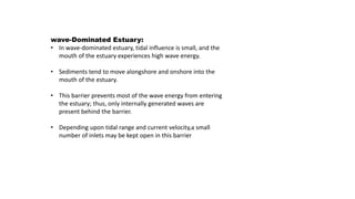 part marine environment.pptx only marginal marine environmrnts | PPT