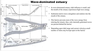 part marine environment.pptx only marginal marine environmrnts | PPT