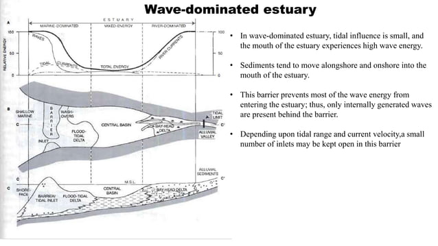 part marine environment.pptx only marginal marine environmrnts | PPT