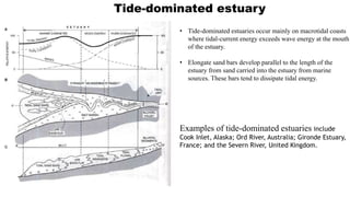 part marine environment.pptx only marginal marine environmrnts | PPT