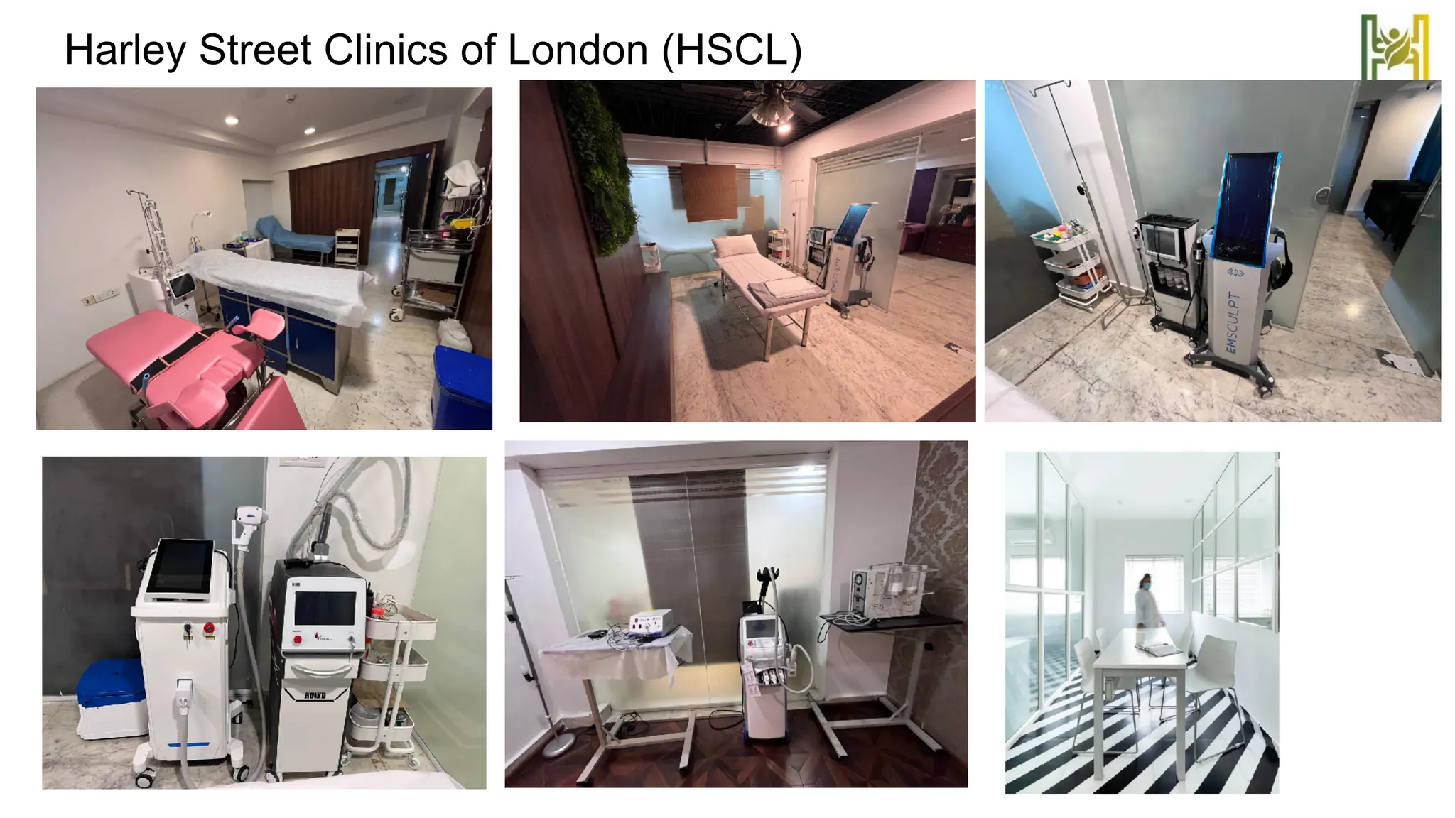 Partner Led Model of HSHG India - A Intro | PPT