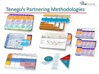 Partner operations | PDF