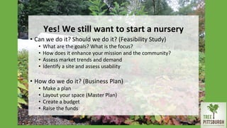 Starting a Tree Nursery: What you Need to Know | PPT