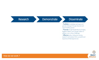 QUEST Alliance Overview of work | PDF