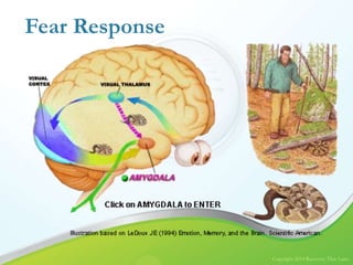 PTSD in Partners: A Treatment Approach with Eye Movement | PPT