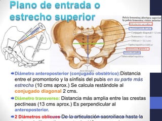 Conjugado Obstétrico