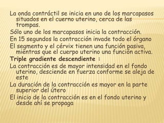 Parto Normal | PPTX