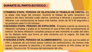 PARTO EUTÓCICO.pptx