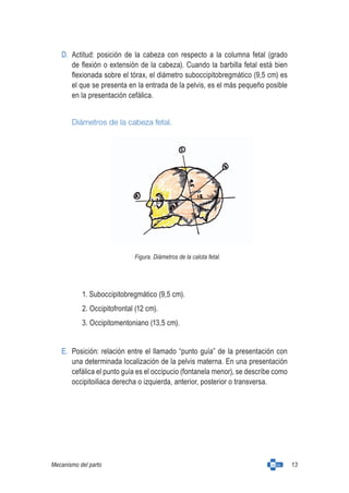 Manual de atención al parto en el ámbito extrahospitalario | PDF