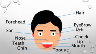 part of body ppt is for teaching and learning in classroom | PPT