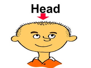 Body parts kindergarten open class or topic | PPT
