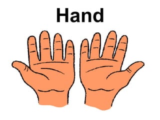 Body parts kindergarten open class or topic | PPT