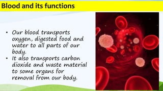 Parts of a Human Circulatory System | PPT