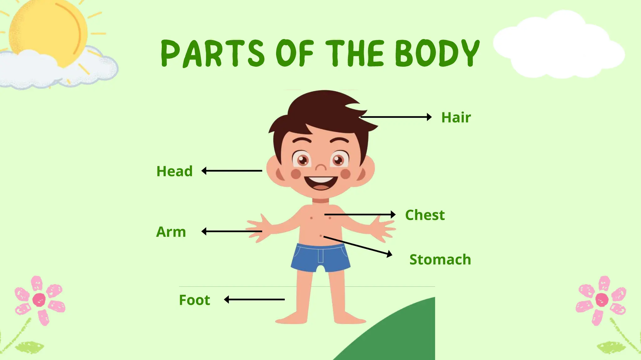 Part of human body kelas V SD Kurikulum merdeka.pptx