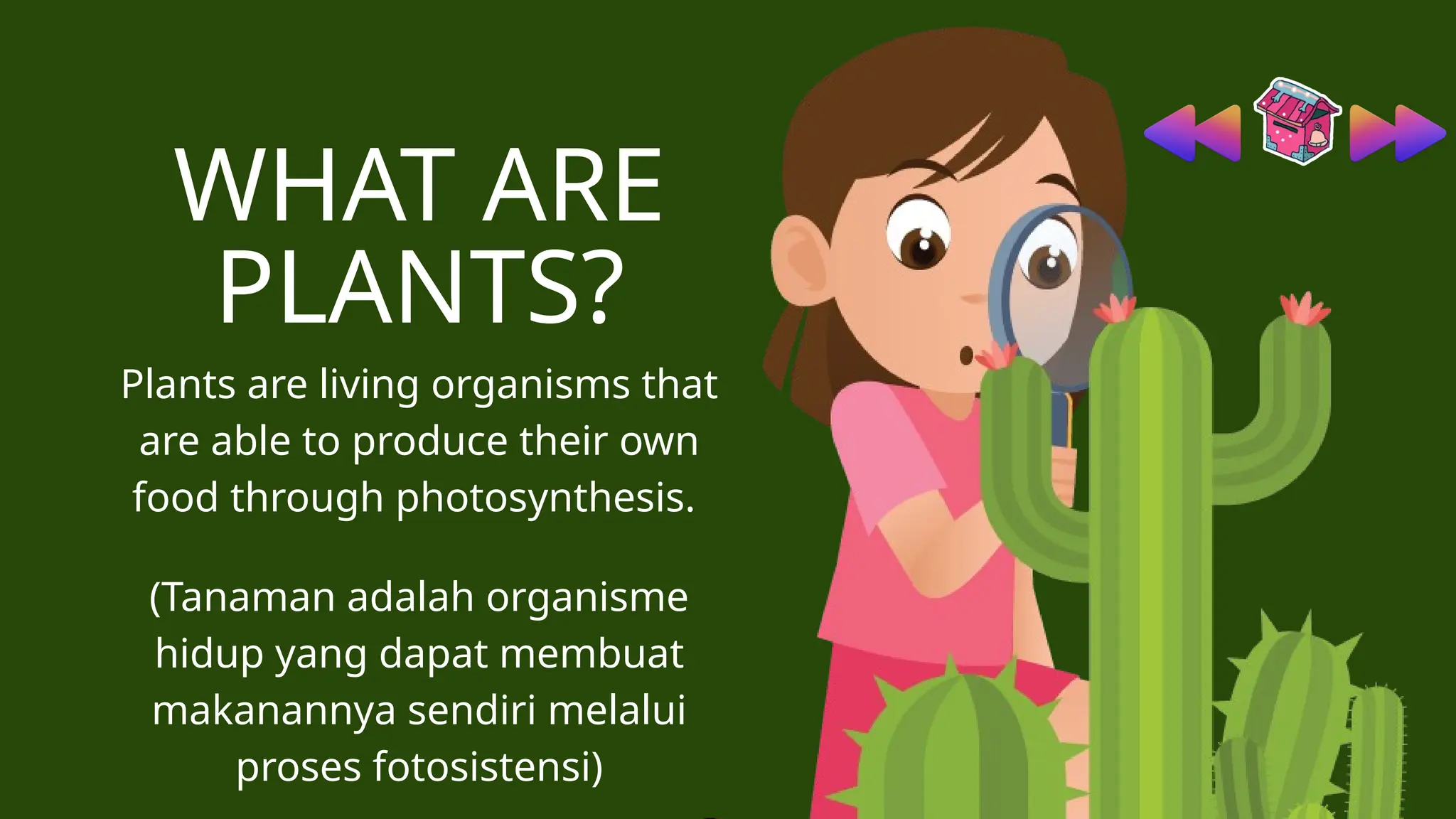 Part of the Plant Material For 1st Grade | PPSX