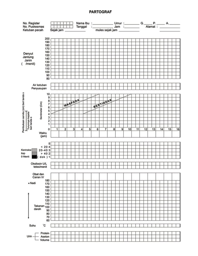partograf.pdf