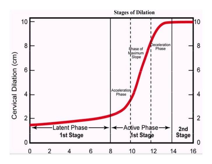 Partograma oms guia de utilizacion y formato hnseb