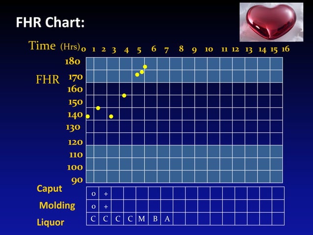 Partograph | PDF | Pregnancy | Reproductive Health