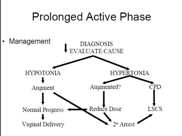 Partograph | PDF | Pregnancy | Reproductive Health