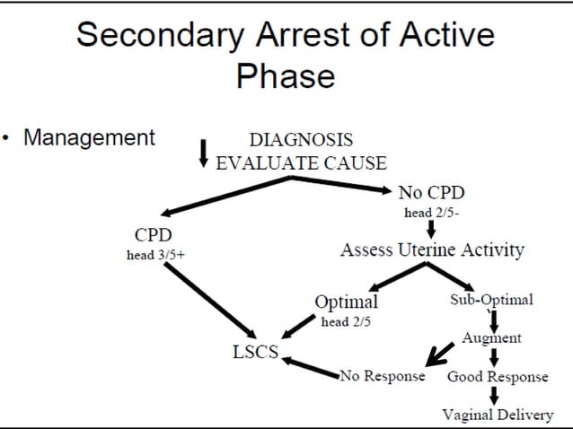 Partograph | PDF | Pregnancy | Reproductive Health