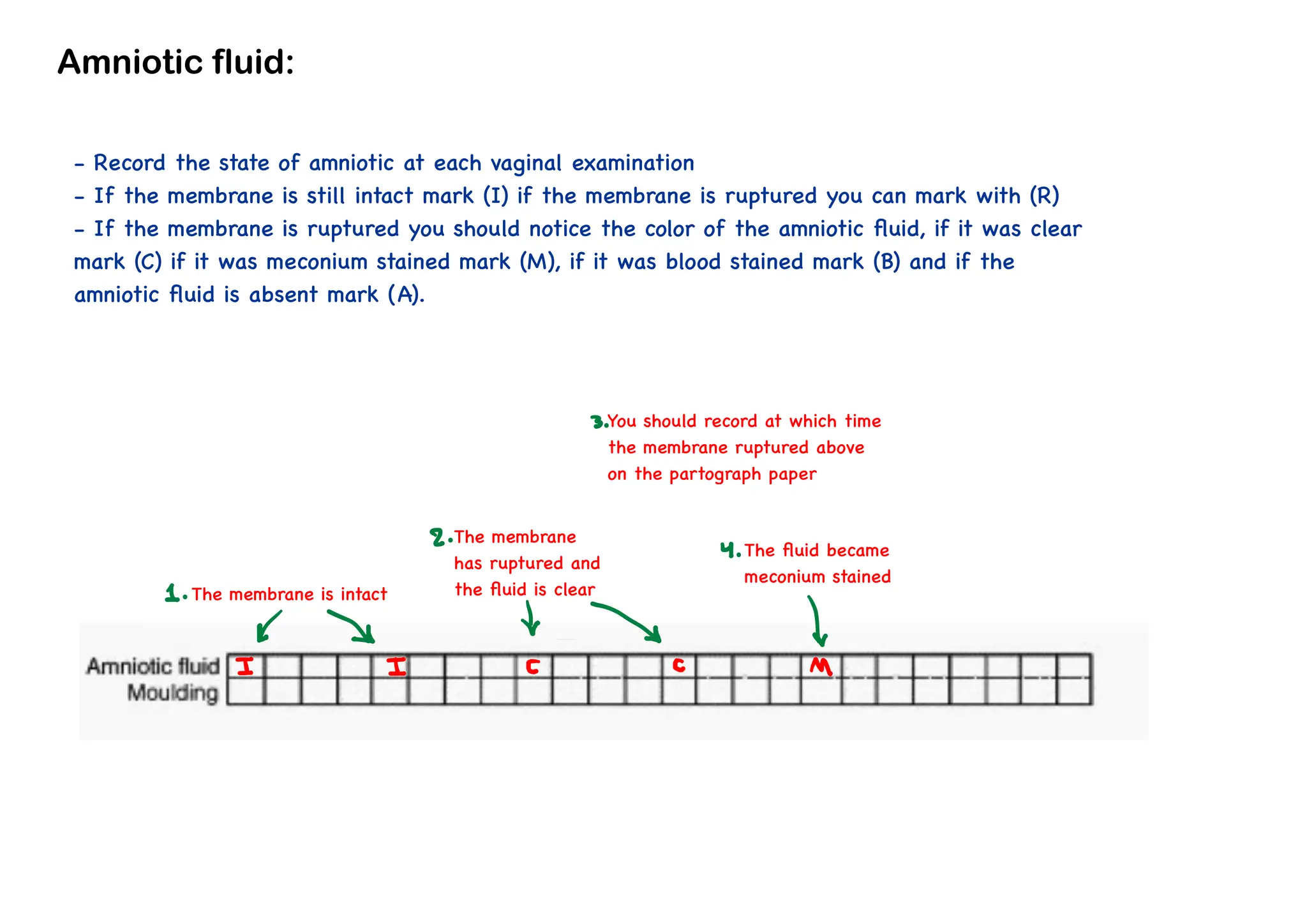 partograph gynecology medical lecture for students | PDF