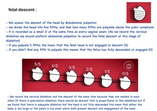 partograph gynecology medical lecture for students | PDF