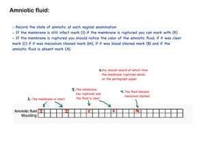 partograph gynecology medical lecture for students | PDF