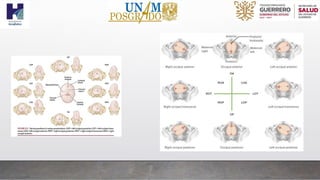 parto instrumentado.en ginecologia y Obstetricia ia | PPTX