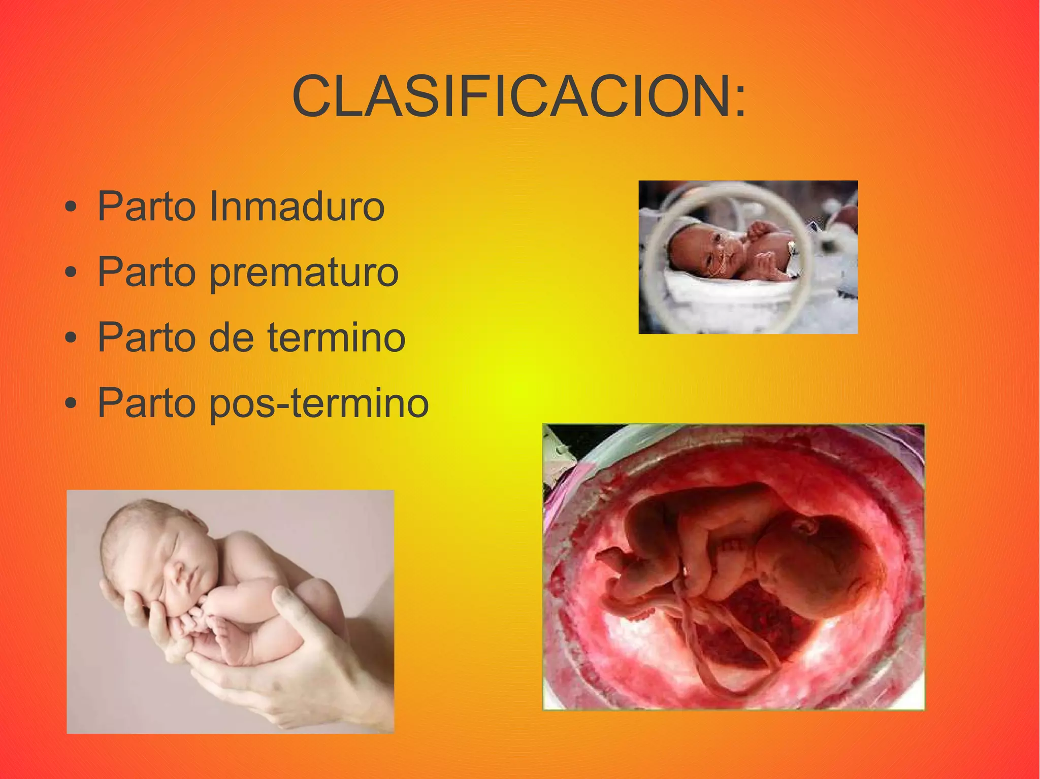 Parto neonato diapositiva | PDF