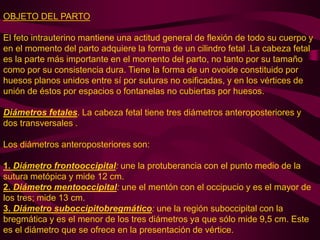 Parto eutócico simple en parto tmedicina | PPT