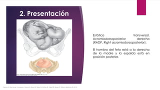 parto normal-movimientos cardinales-octavo semestre-segun williams-Dra ...