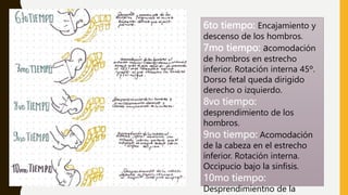 Atencion del trabajo de parto en presentacion podalica | PPTX