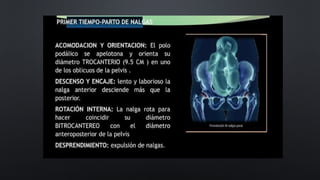 parto pélvico. Y sus mecanismos y maniobras | PPTX