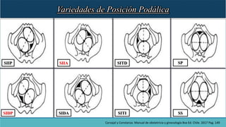 Parto podalico | PPTX