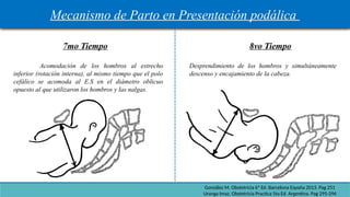 PARTO PODALICO, caracteristicas, y diferentes maniobras | PPTX