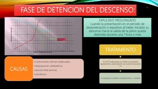 Parto prolongado y precipitado | PPTX