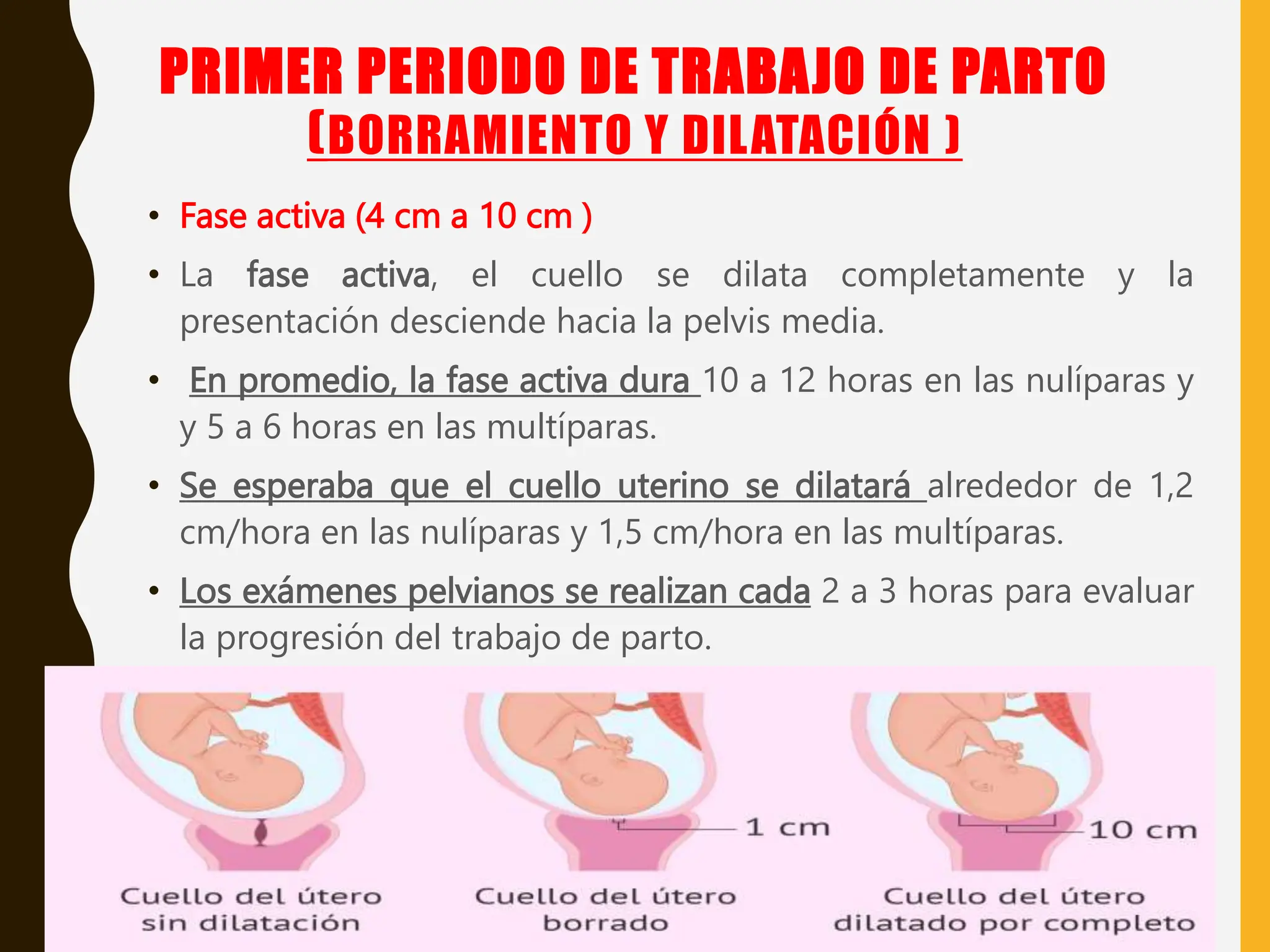 SLIDE PARTO GINECOLOGIA Y OBSTETRÍCIA COMPLETO | PPTX