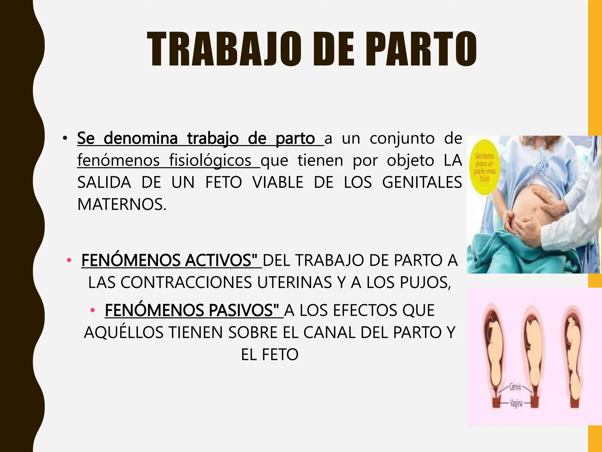 SLIDE PARTO GINECOLOGIA Y OBSTETRÍCIA COMPLETO | PPTX