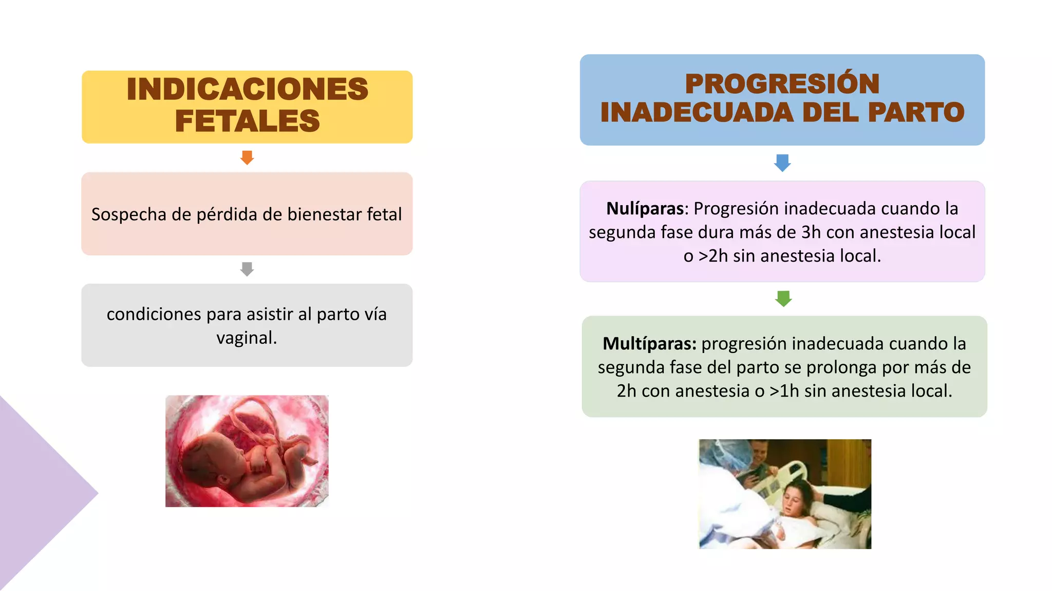 PARTO VAGINAL INSTRUMENTADO- SUBGRUPO 3.pptx