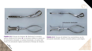 PARTO VAGINAL INSTRUMENTADO R1 SALAS.pptx