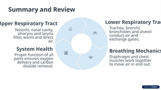Parts-and-Functions-of-the-Respiratory-System.pptx