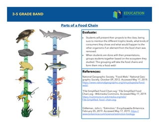 Understanding Food Chains: Ecosystem Roles and Energy Flow for Grades 3 ...