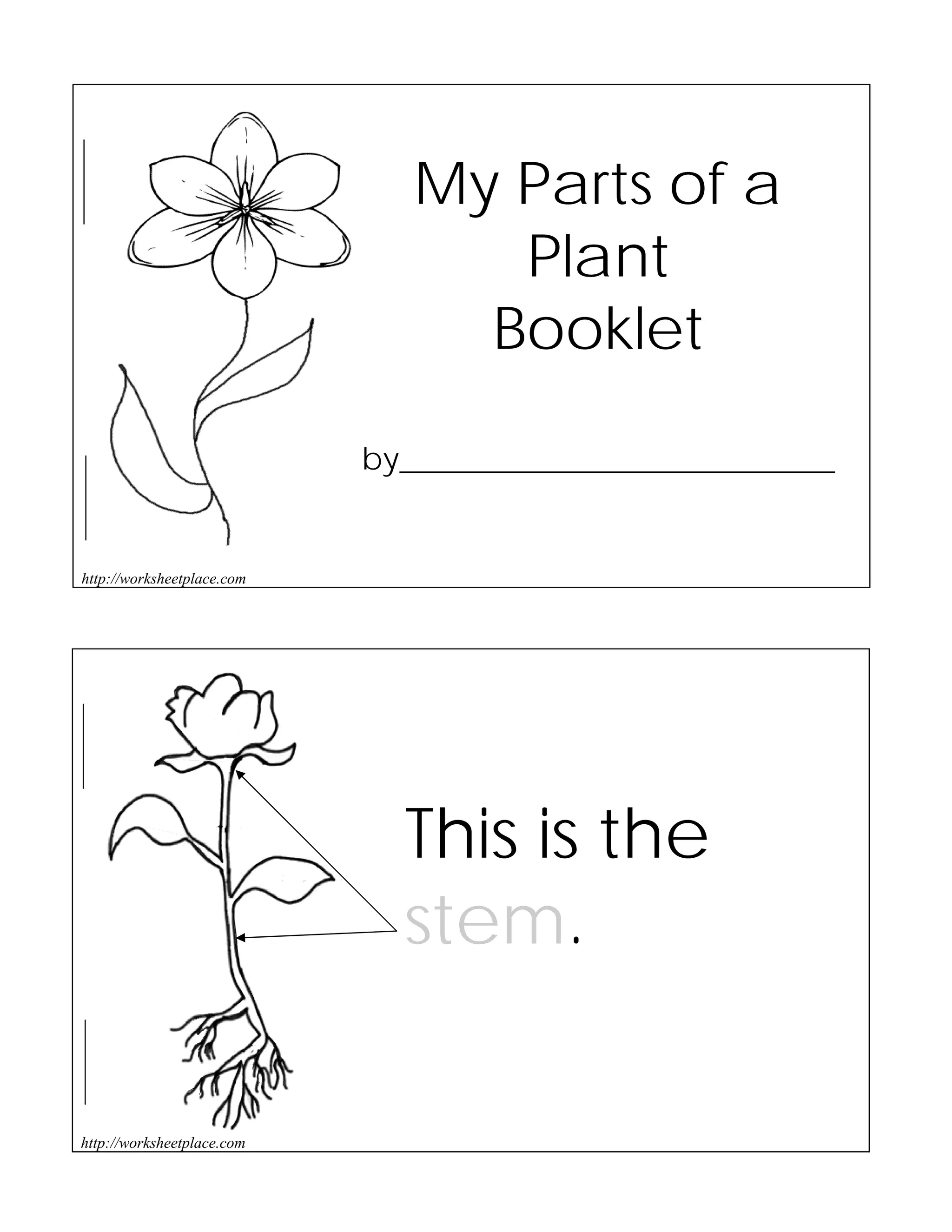 Parts of-a-plant | PDF | Gardening | Home & Garden