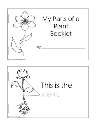 Parts of-a-plant | PDF | Gardening | Home & Garden