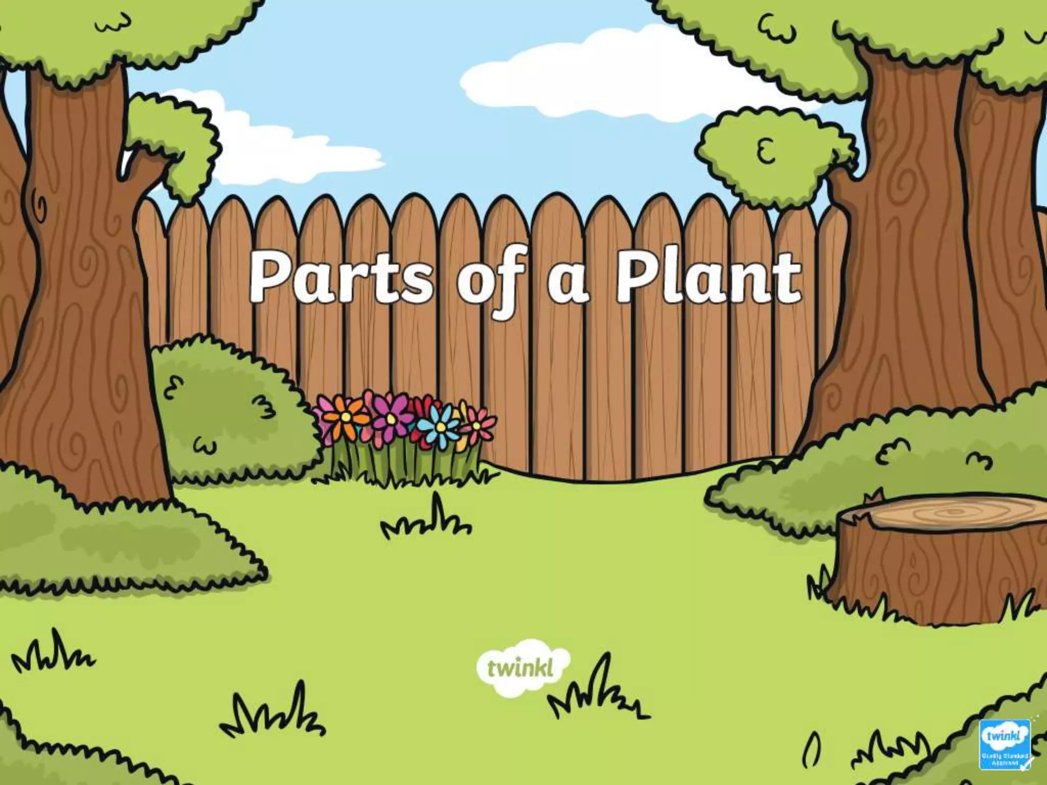 Parts-of-a-Plant-PowerPoint.ppt