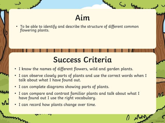 Parts-of-a-Plant-PowerPoint.ppt