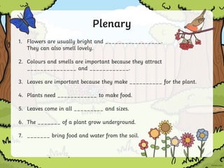 Parts-of-a-Plant-PowerPoint.ppt