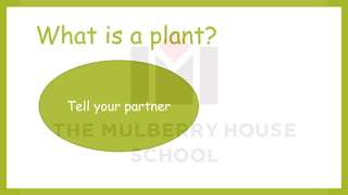 Parts-of-a-tree-powerpoint.pdf