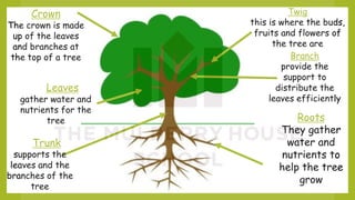 Parts-of-a-tree-powerpoint.pdf