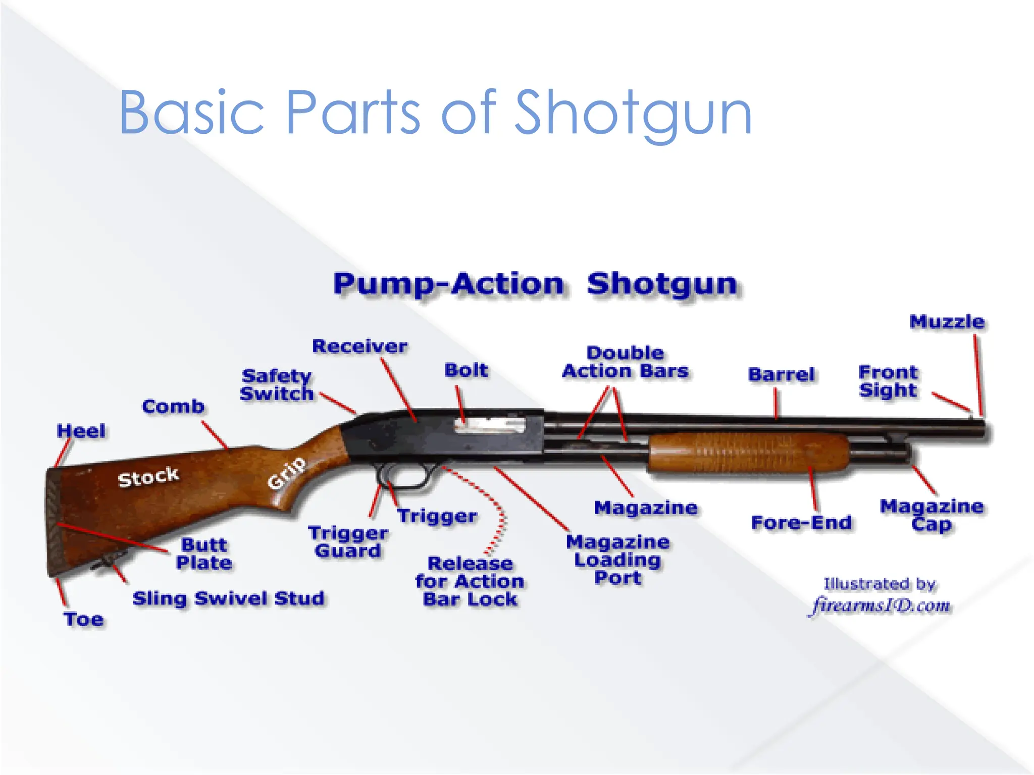 DFT - Fundamentals of Marksmanship - Parts of Firearm | PPTX